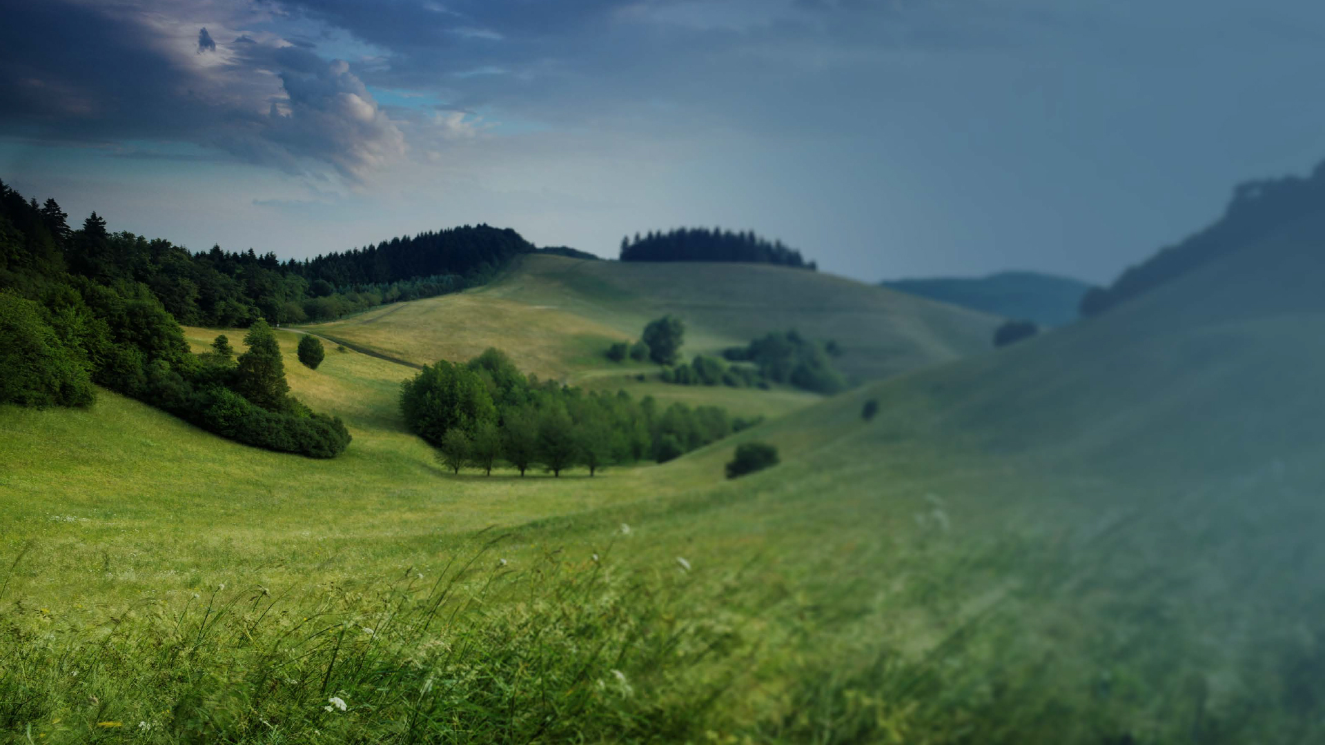 Aktuelles - Sudetendeutsche Landsmannschaft Bundesverband e.V.